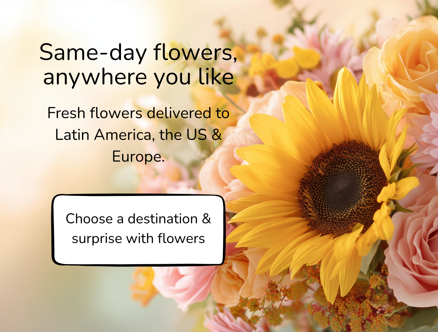 LatinFlores - Envio de Flores – LatinFlores.com