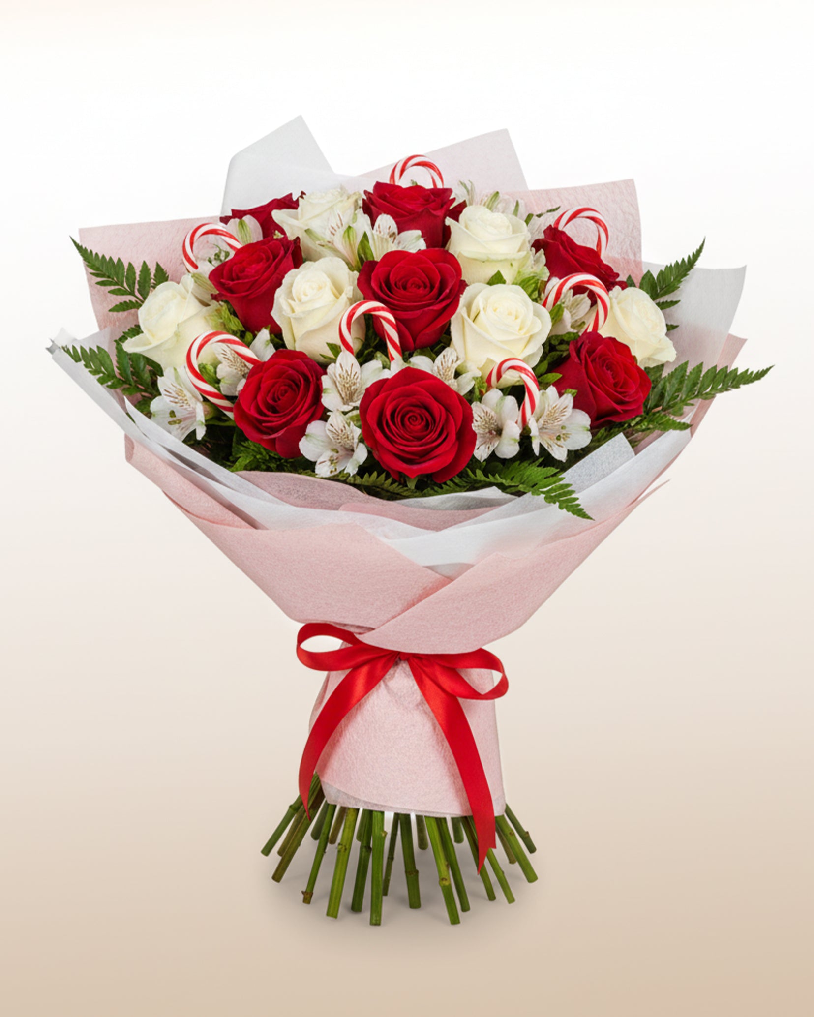 Peppermint Roses – LatinFlores.com